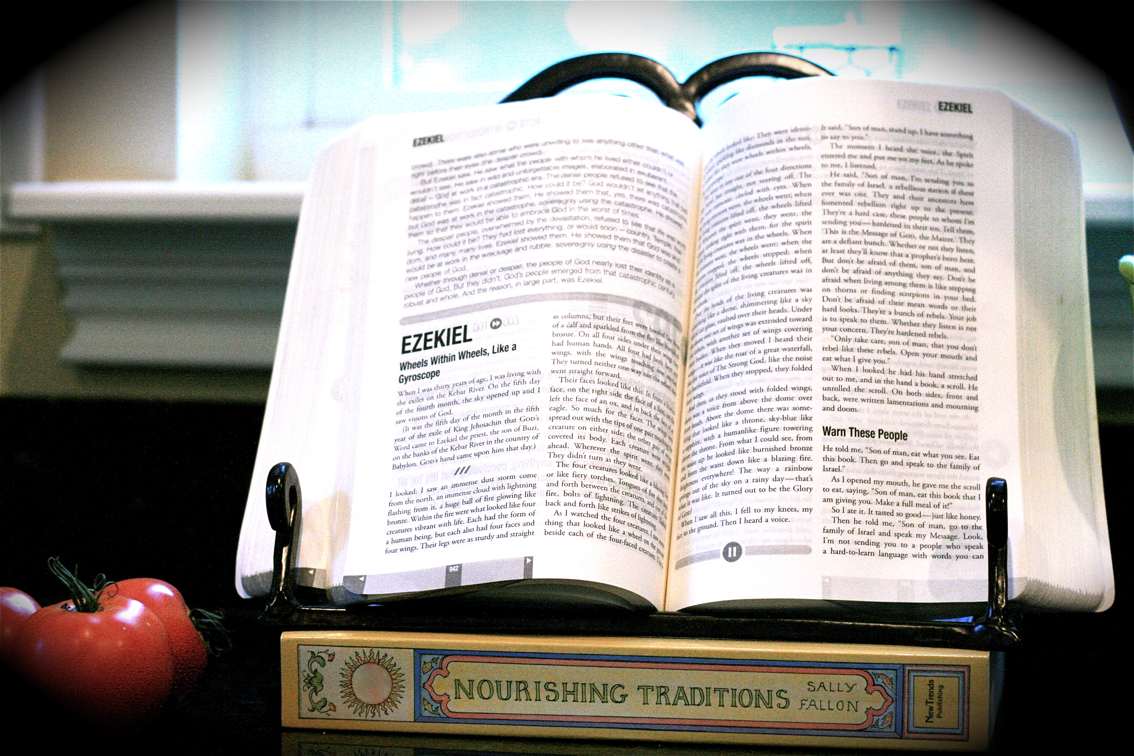 Eat These Words {Undistracted Devotion} - Darcy Wiley